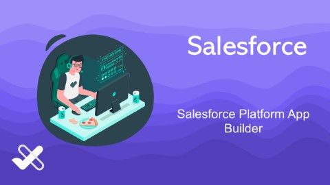 Salesforce Platform App Builder - X-Mentor